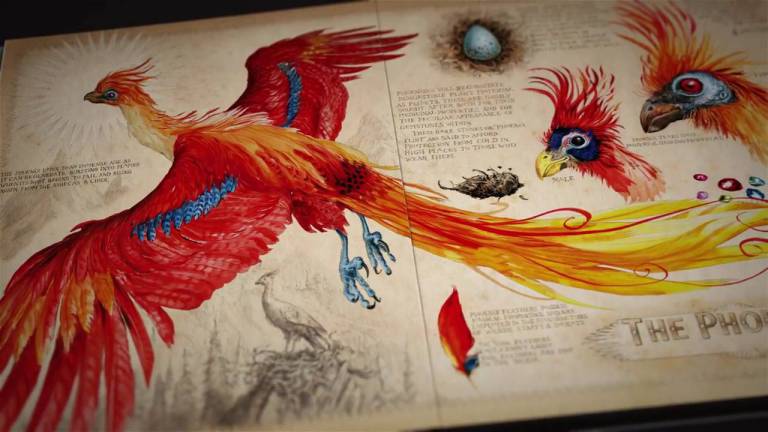 Pour les fans, "il" est sorti - Harry Potter and the Chamber of Secrets ...