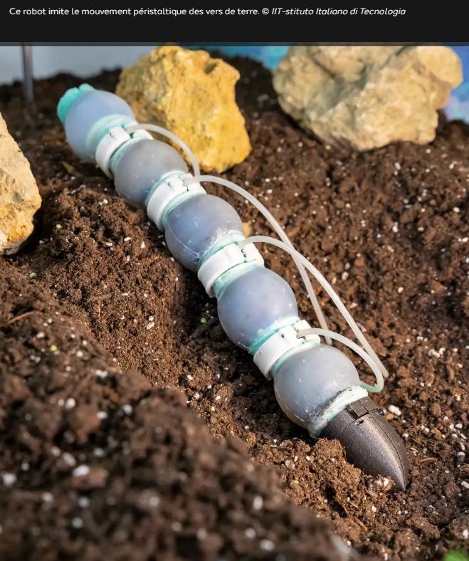 futura-sciences - Ce robot ver de terre est capable d'explorer le sol ...