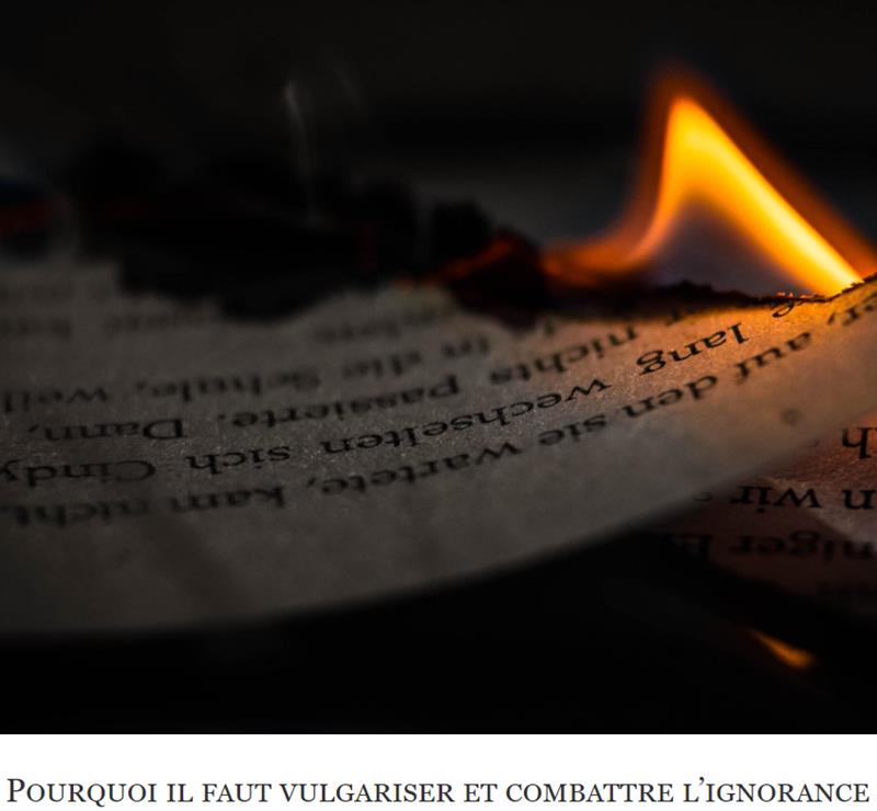 Timo - Pourquoi il faut vulgariser et combattre l’ignorance - Arfy'z tranche du Net