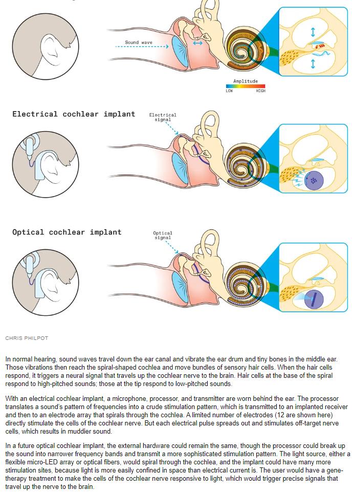 Arfy'z tranche du Net