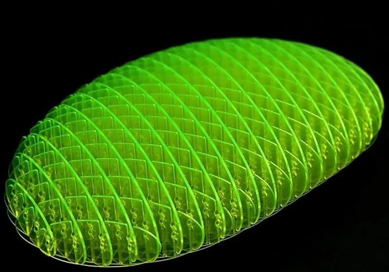 theawesomer - Morf Shape-Shifting Fidget Worm - Arfy'z tranche du Net