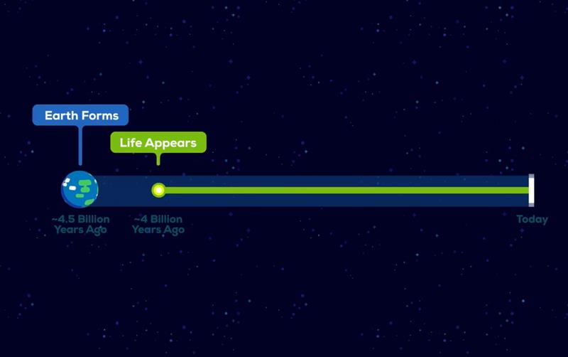 Kurzgesagt – In a Nutshell - Ancient Life as Old as the Universe - Arfy'z tranche du Net