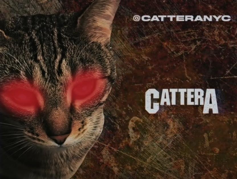Le CCC le savait - bandes de chatanistes ! - CATTERA "Hunger Of The ...